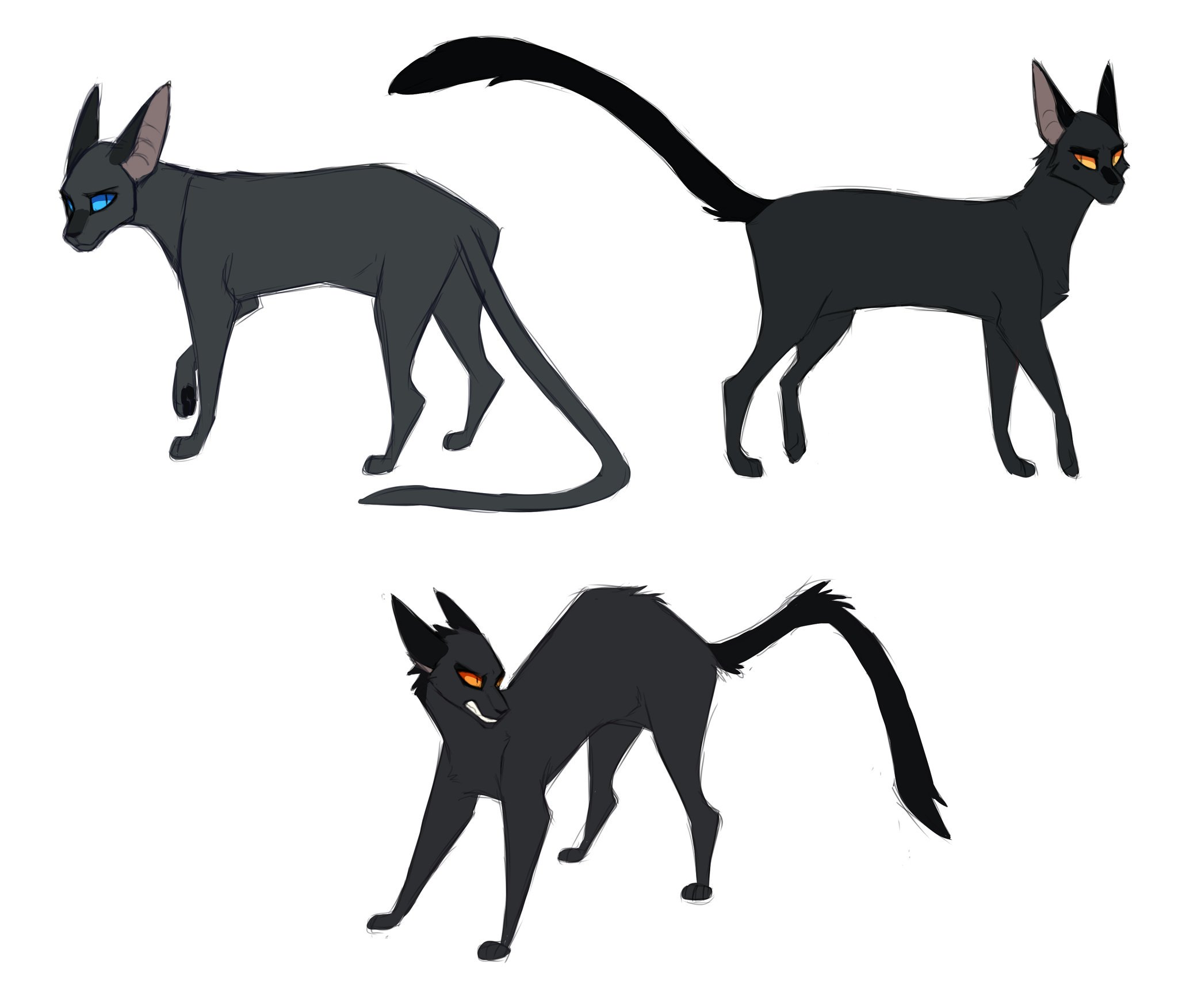 Crowfeather And Breezepelt