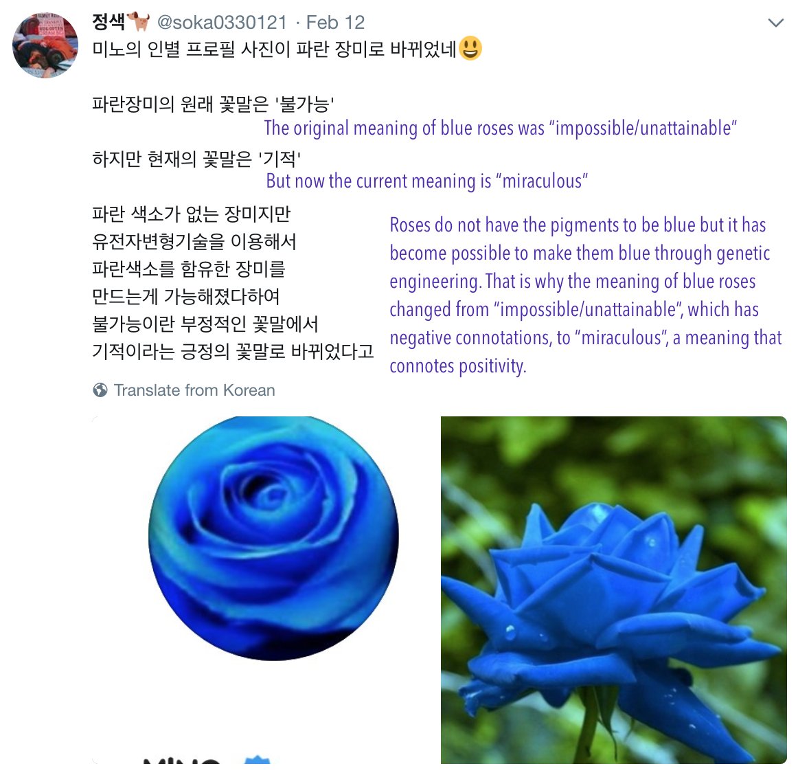 Blue Rose Meaning
