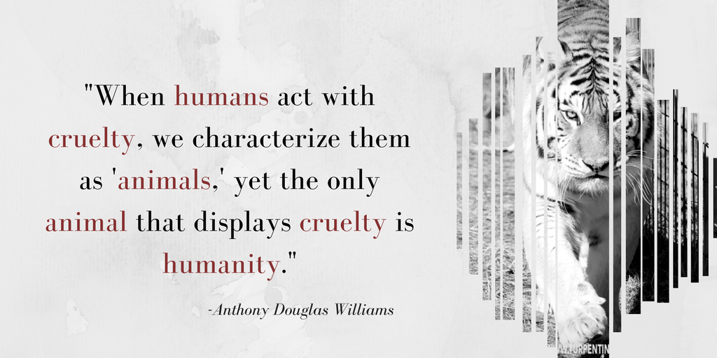 Endangered Animals Quotes Wildlife Conservation Quotes