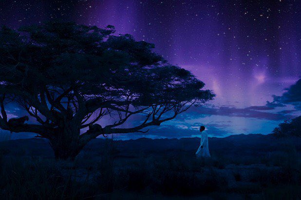 The Lion King Rafiki Tree