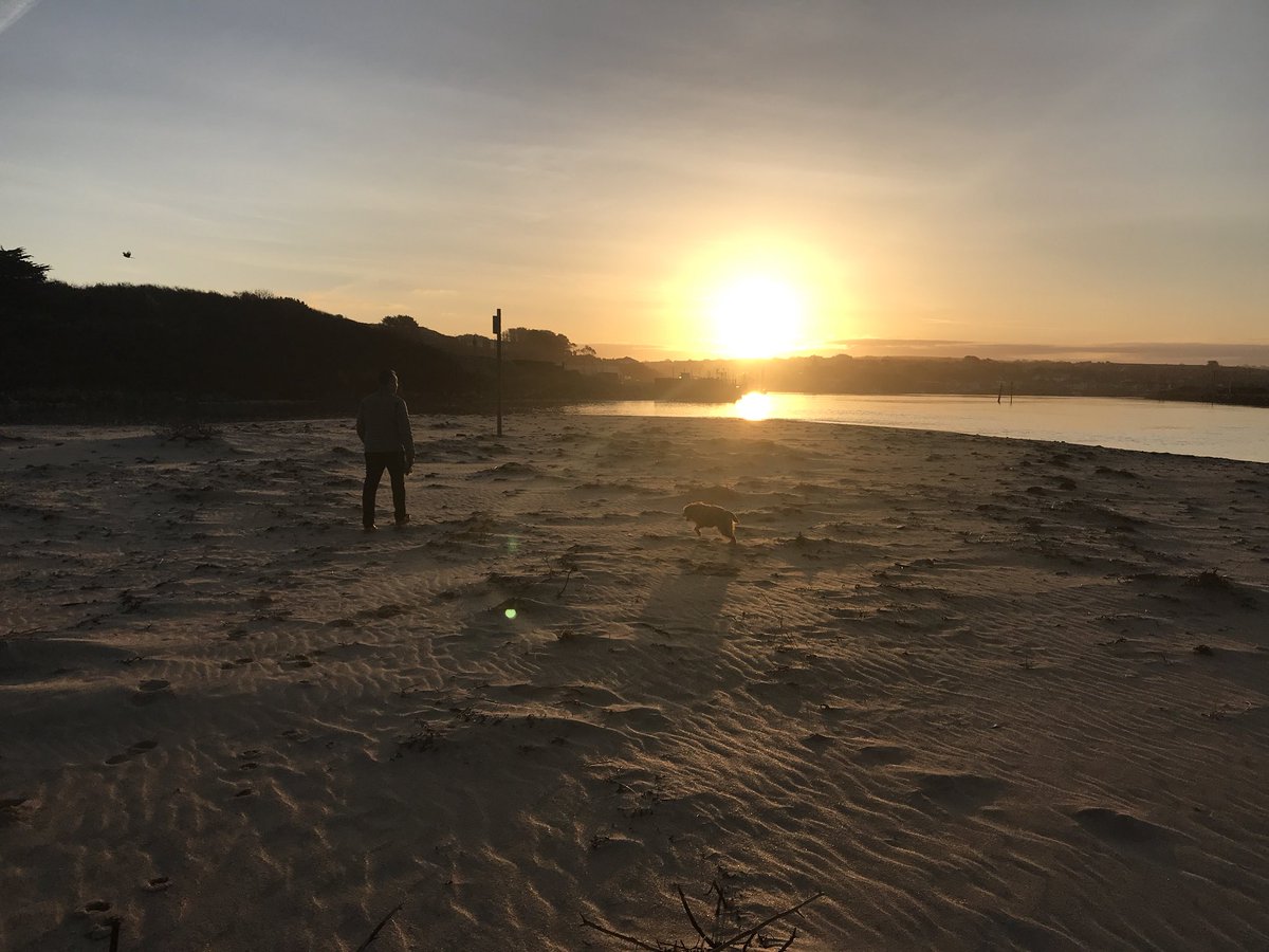 Tara Easterling (@tara_easterling) | Twitter