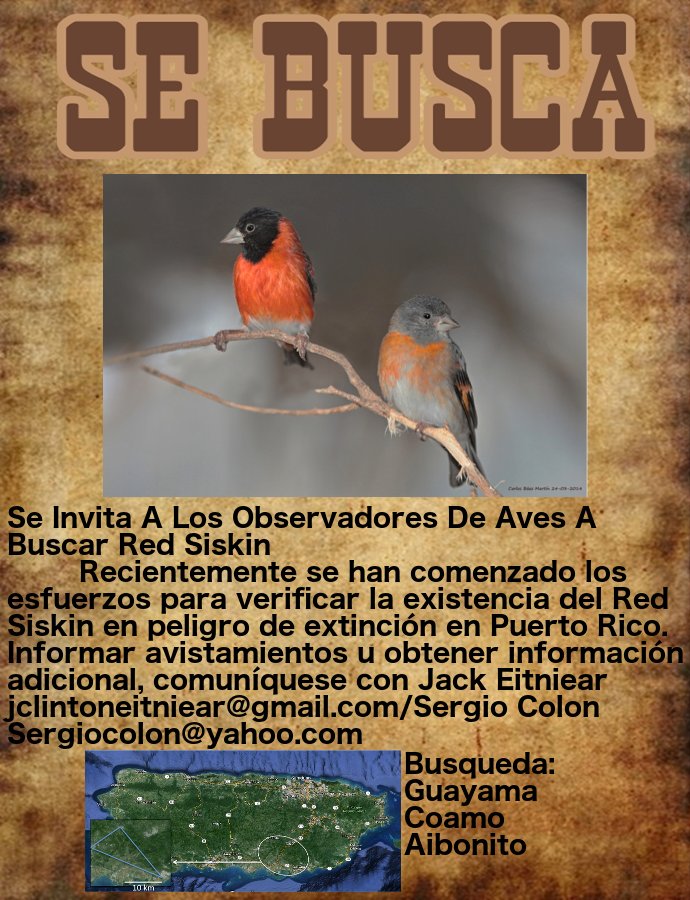 ovaj Stanište mamuza animales en peligro de extincion en puerto rico ...