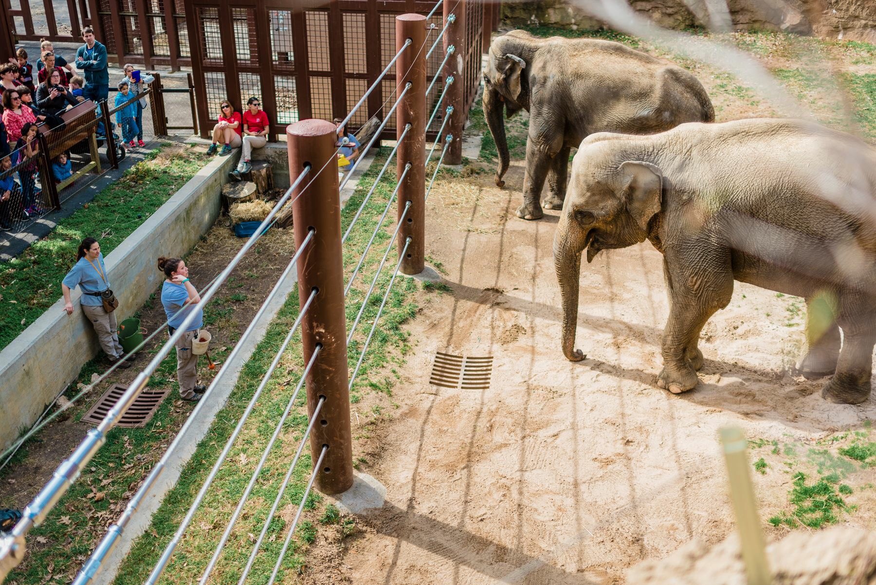National Zoo Elephant Exhibit