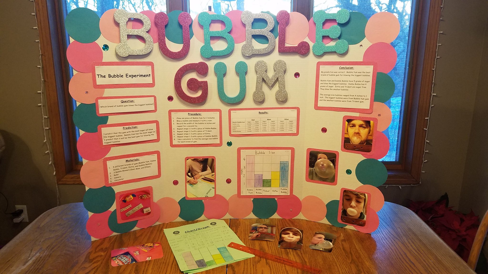 Biggest Bubble Gum Science Project Science Fair 2023 | Evans