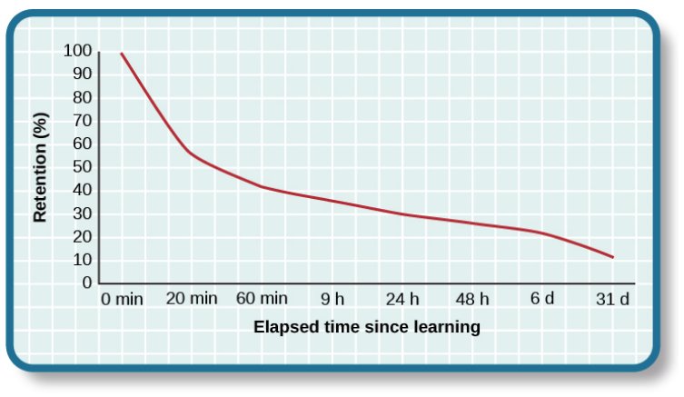 Forgetting Curve Psychology