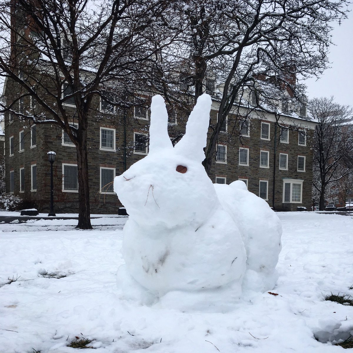 Cornell University Snow