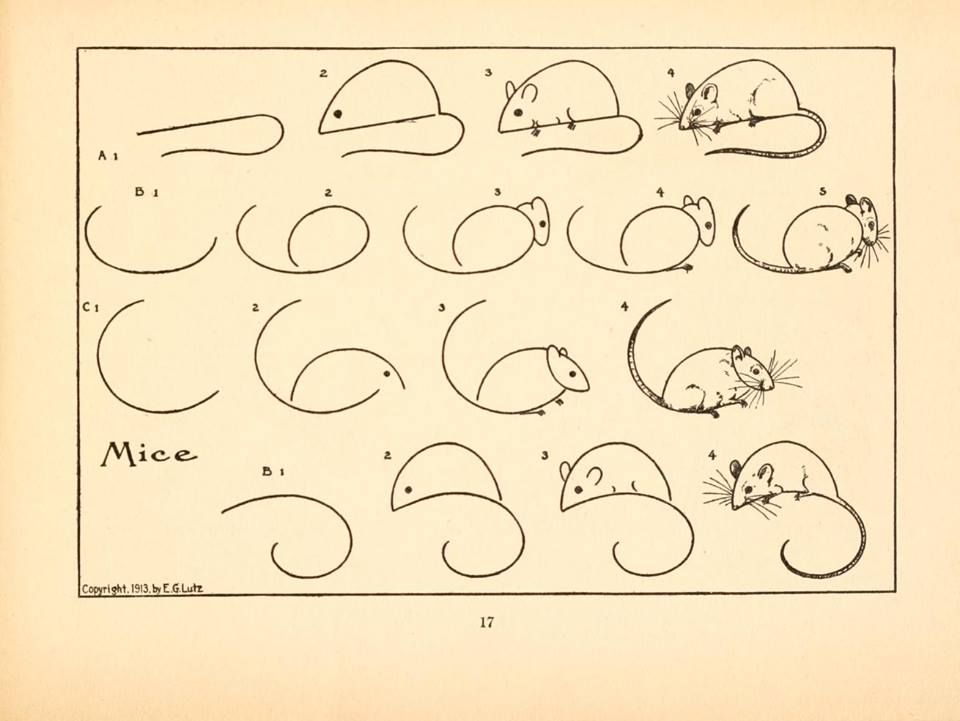 A step-by-step guide to drawing mice, from a 1913 book entitled What to ...