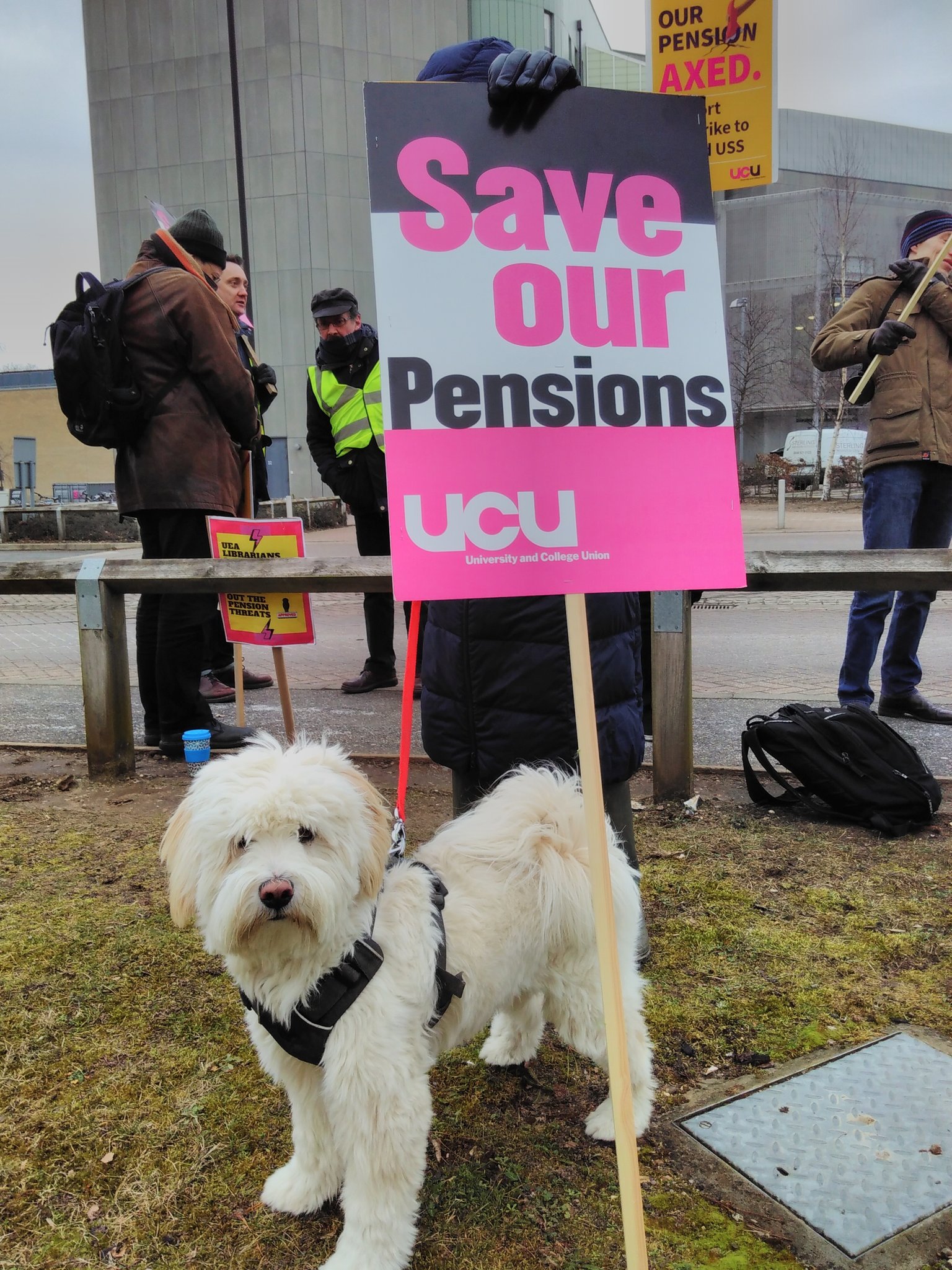 UEA UCU says join a union on Twitter: UEA UCU says join a union on Twitter: