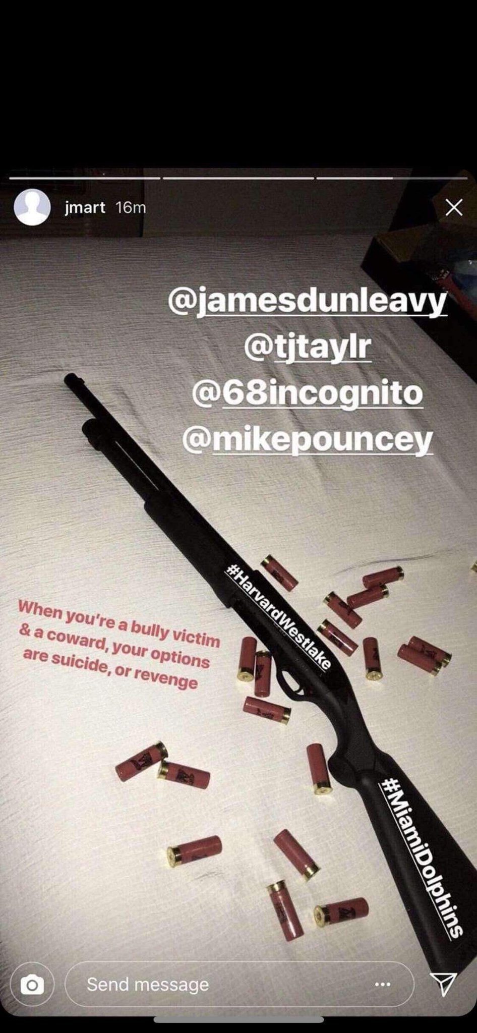 Jonathan Martin Dolphins Preseason