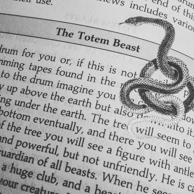 Snake Totem Medicine Seeing A Snake: The Spiritual Meaning Of Seeing