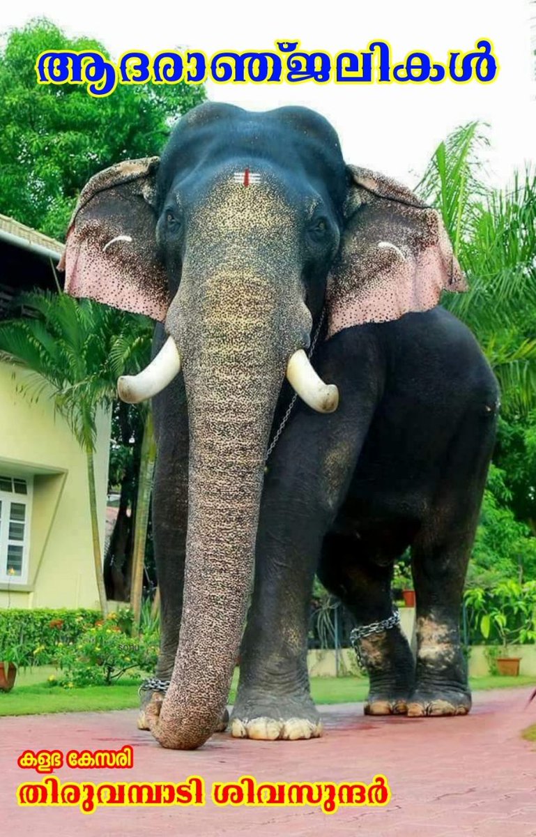 Thiruvambadi Sivasundar Wallpaper