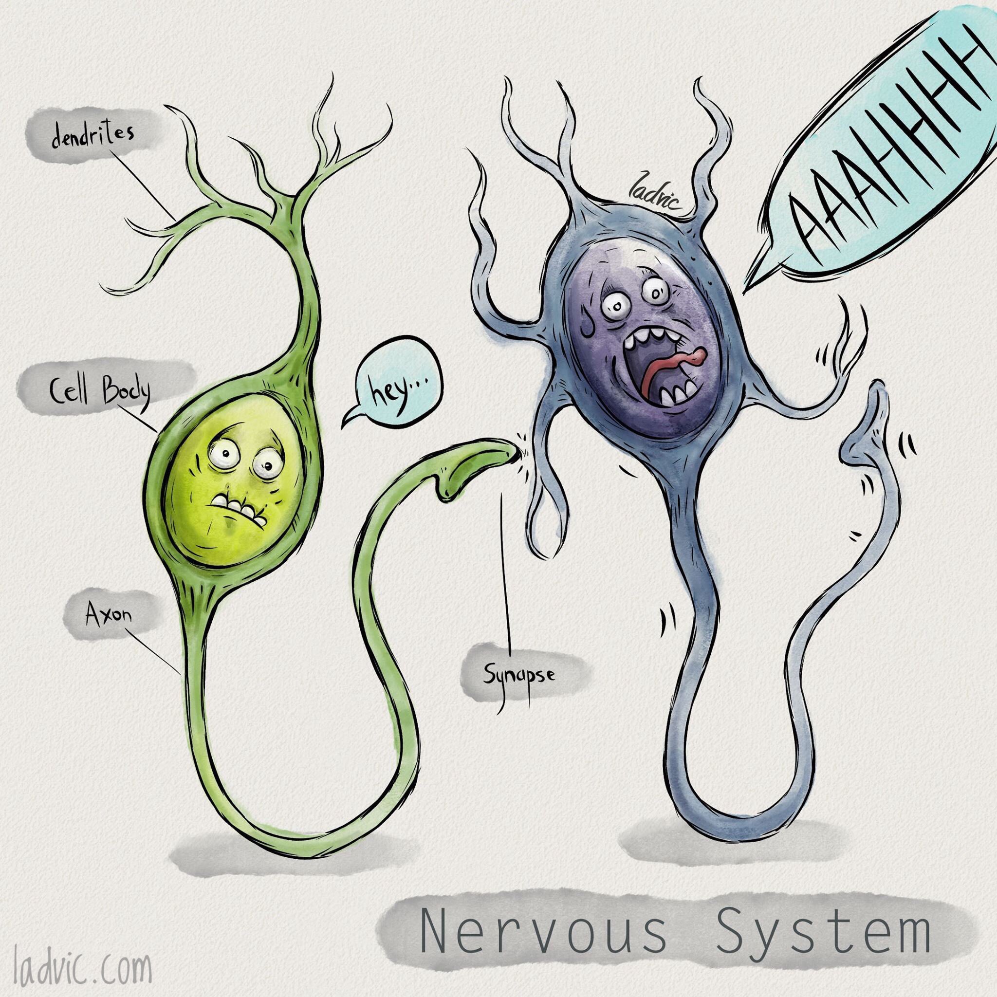 Nerves Cartoon