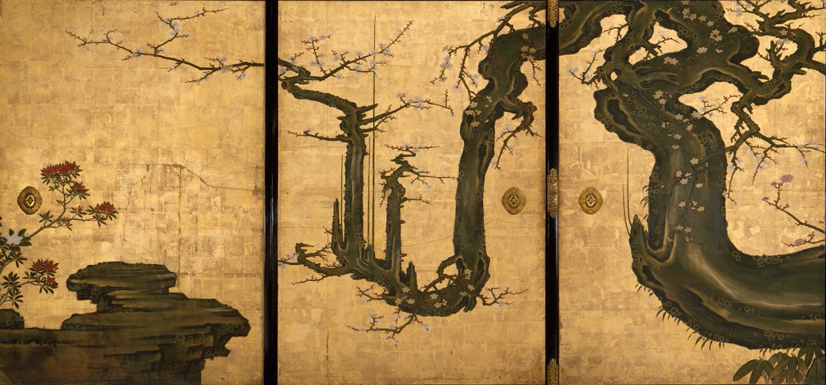 The massive black trunk of an ancient plum tree with bending, twisting ...