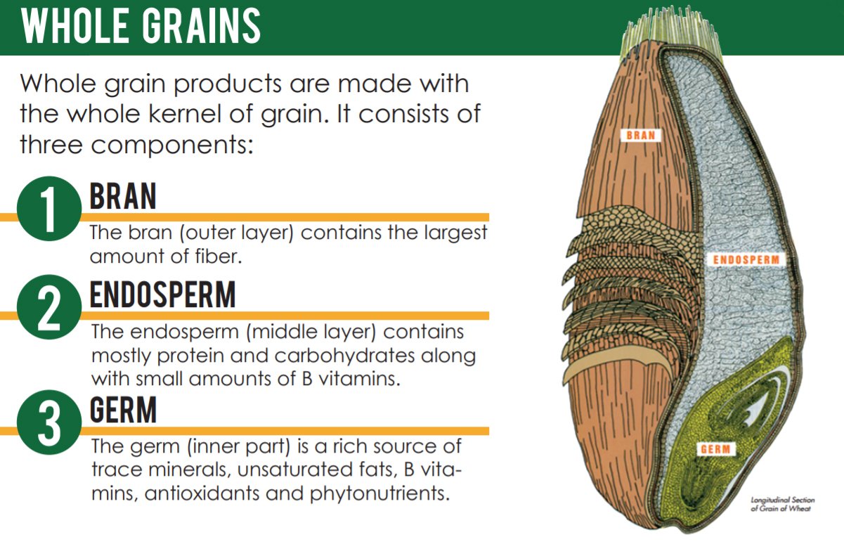Wheat Grain Diagram