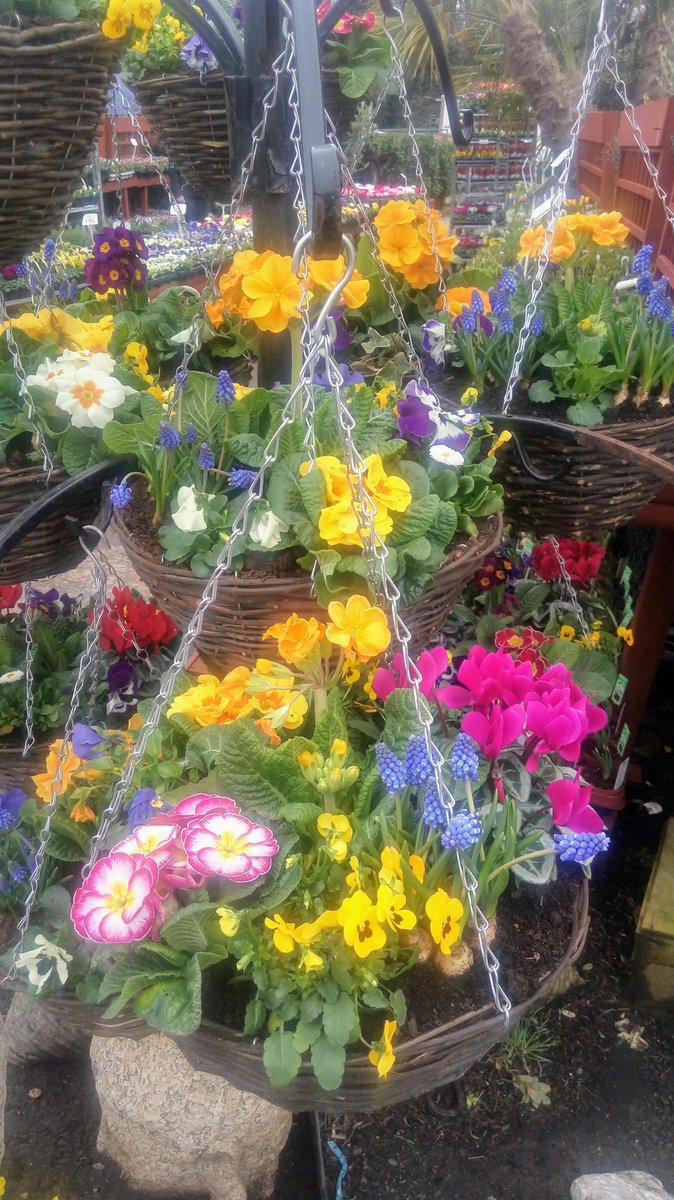 crossways garden centre wallington | Fasci Garden