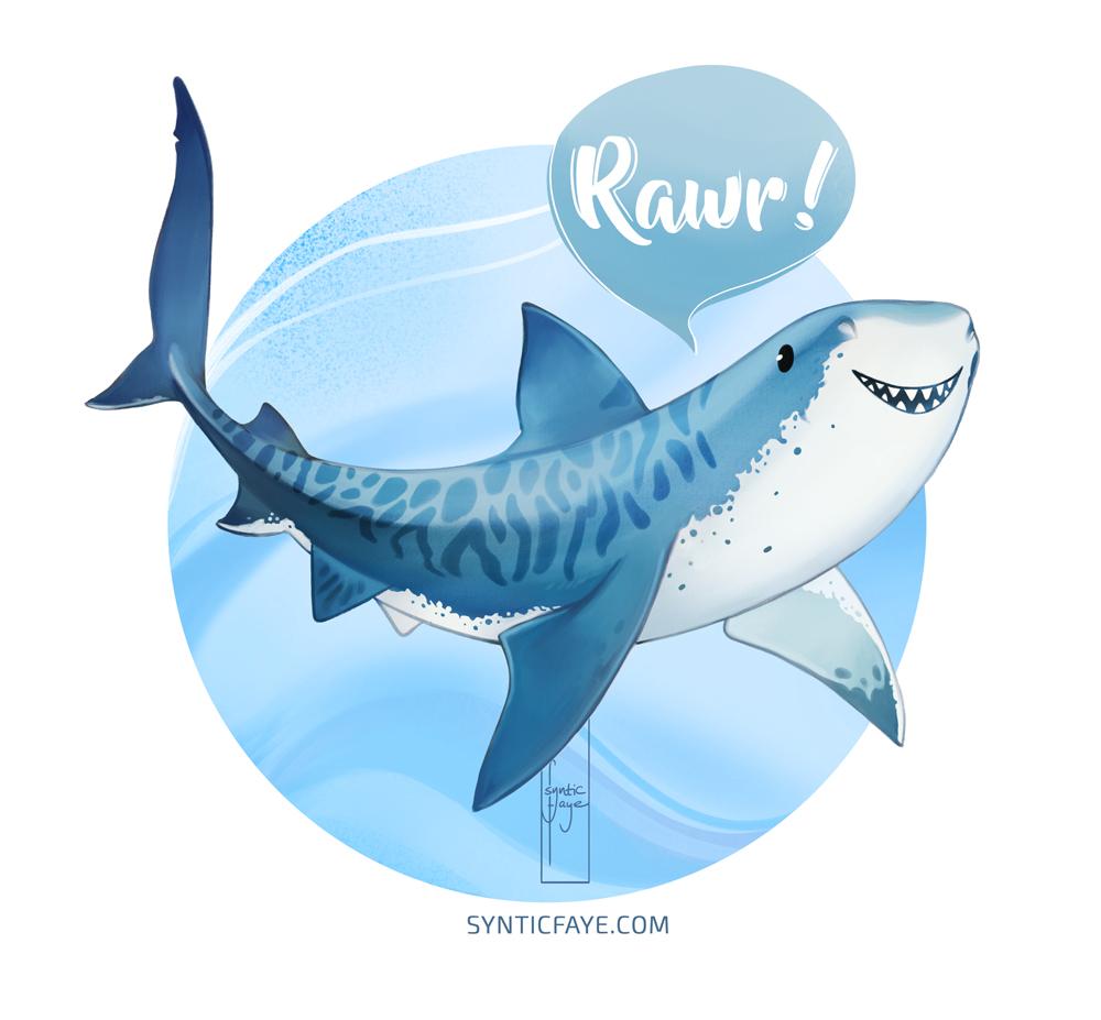 How To Draw A Tiger Shark Easy