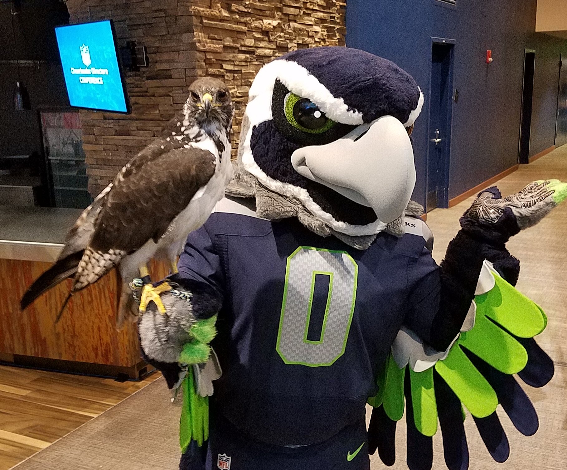 Seahawks Mascot Costume