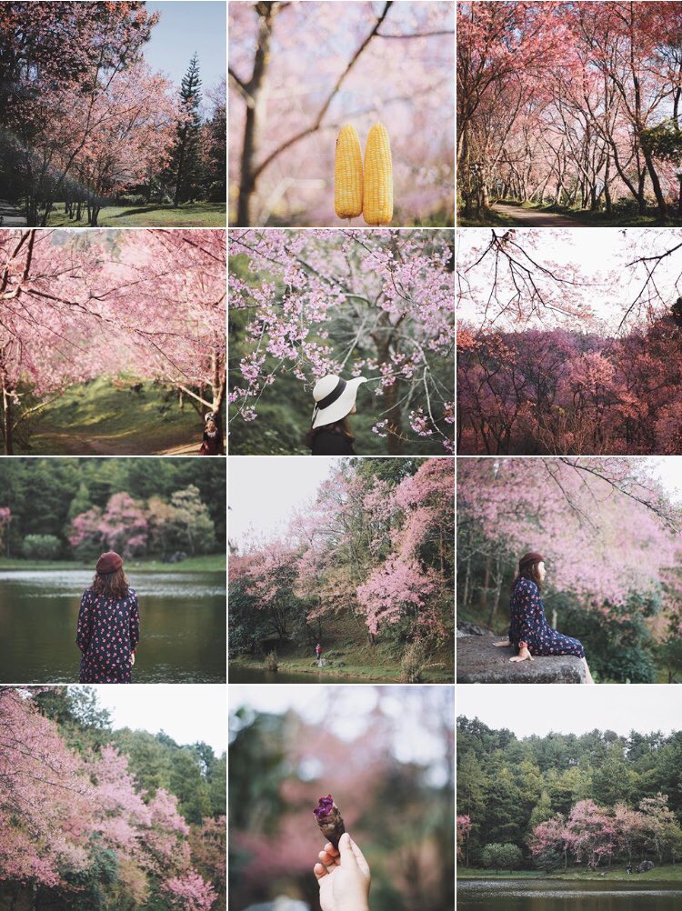 ployploy♥ (@ployporing) | Twitter