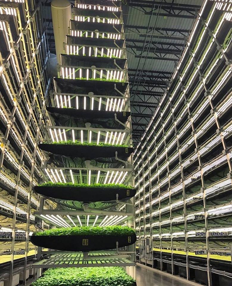 Hydroponic Farm Buildings