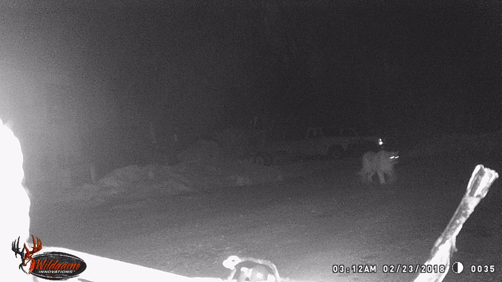 Real Sightings Of The Rake