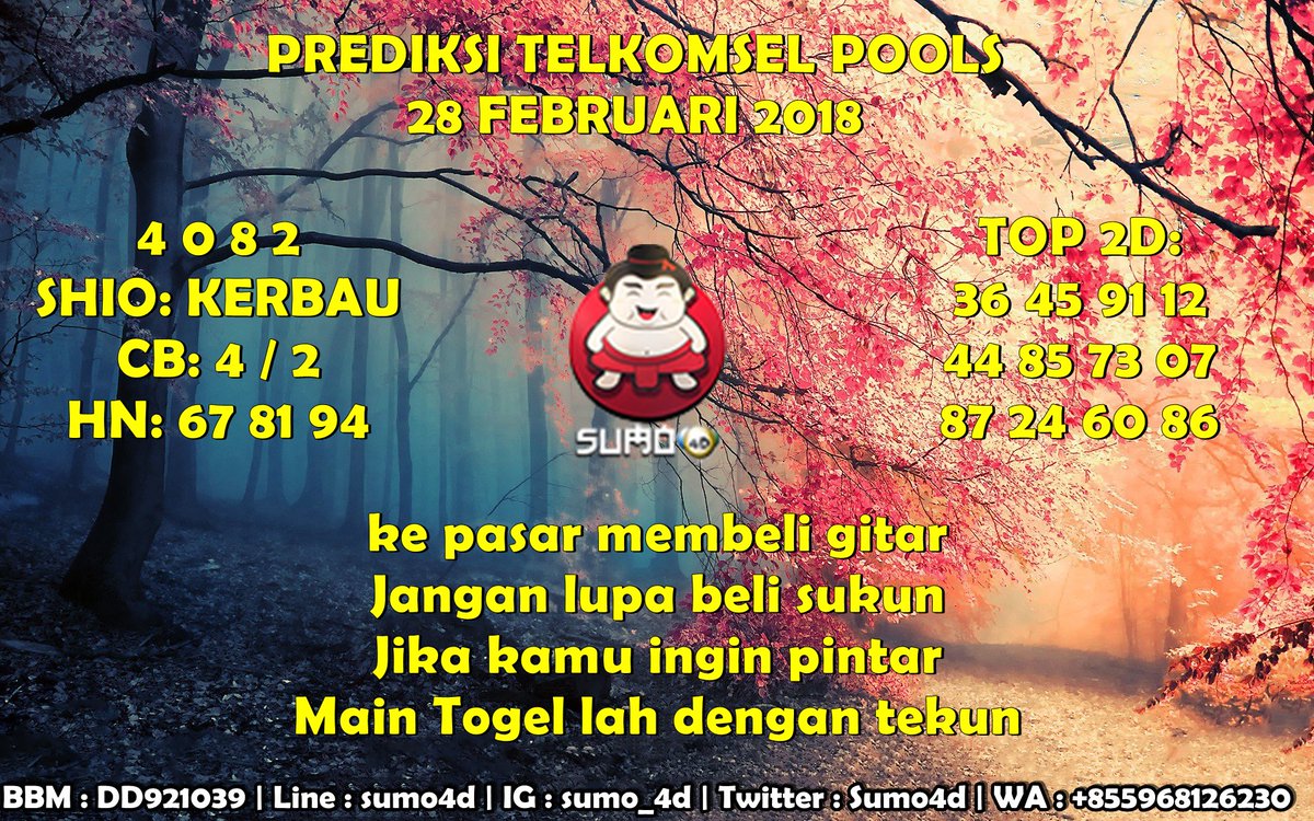 sumo4d (@Sumo_4D) | Twitter