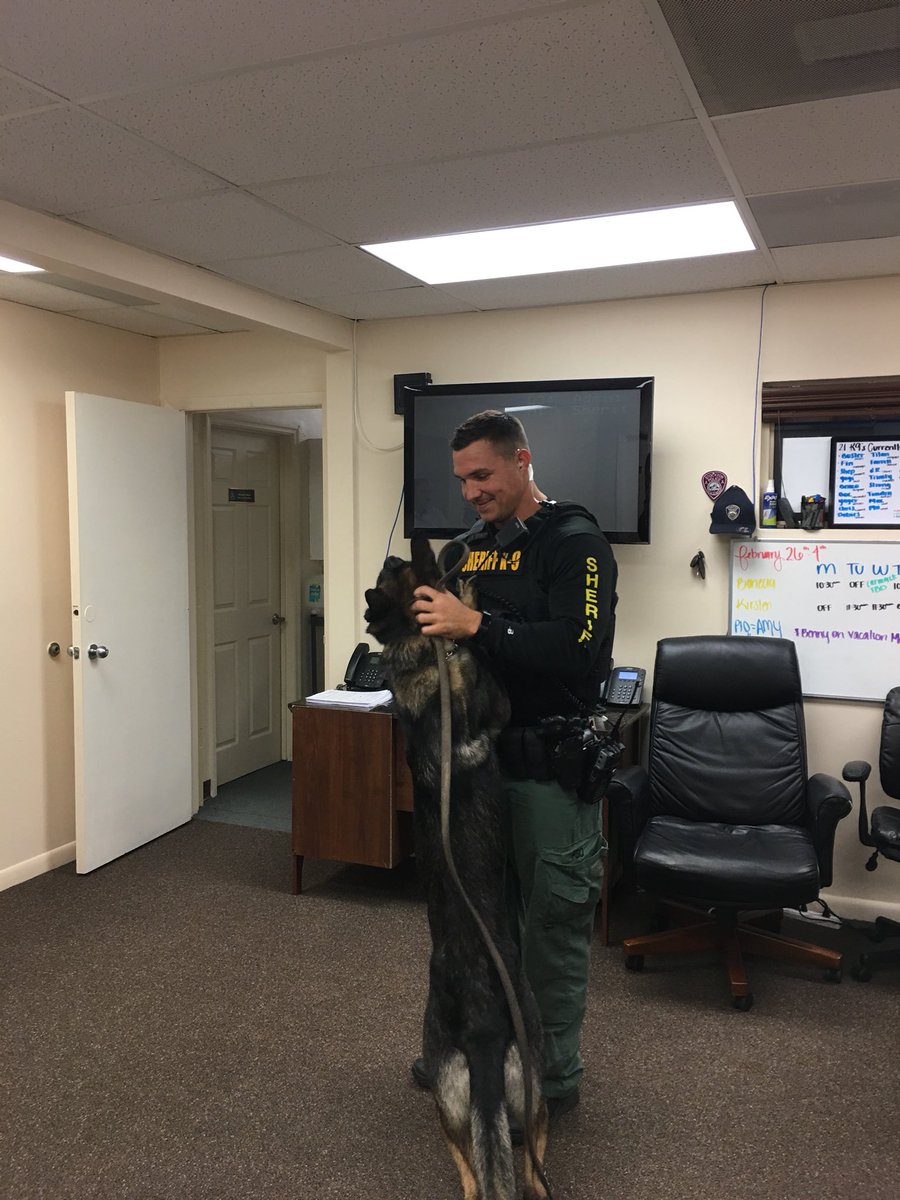 Deputy carmack and k9 shep getting ready for their interview with ...