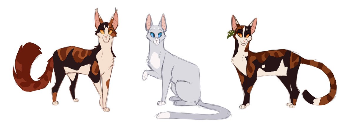 Warrior Cats Patchpelt