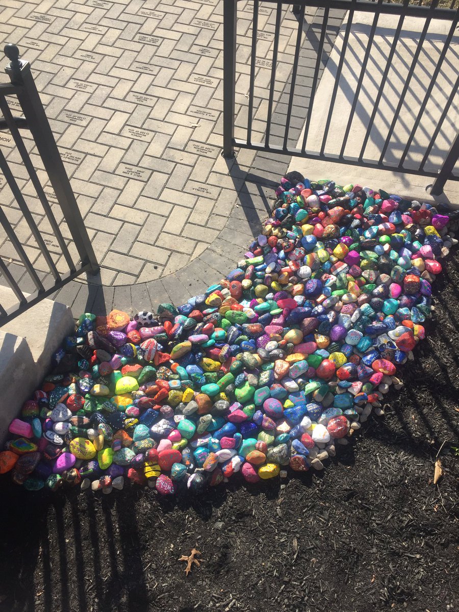 Cassie DeCandia (@CassieDecandia) | Twitter