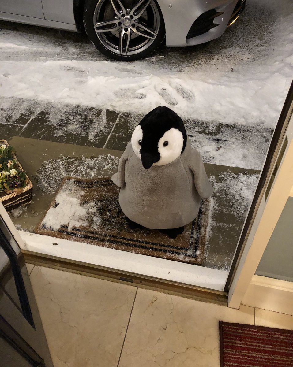 82 best Twitter @ciara_knight images on Pholder | Rami Malek always ...