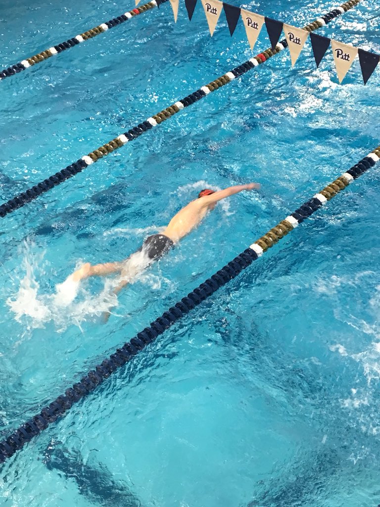 Neilbert (@neil_wible) | Twitter