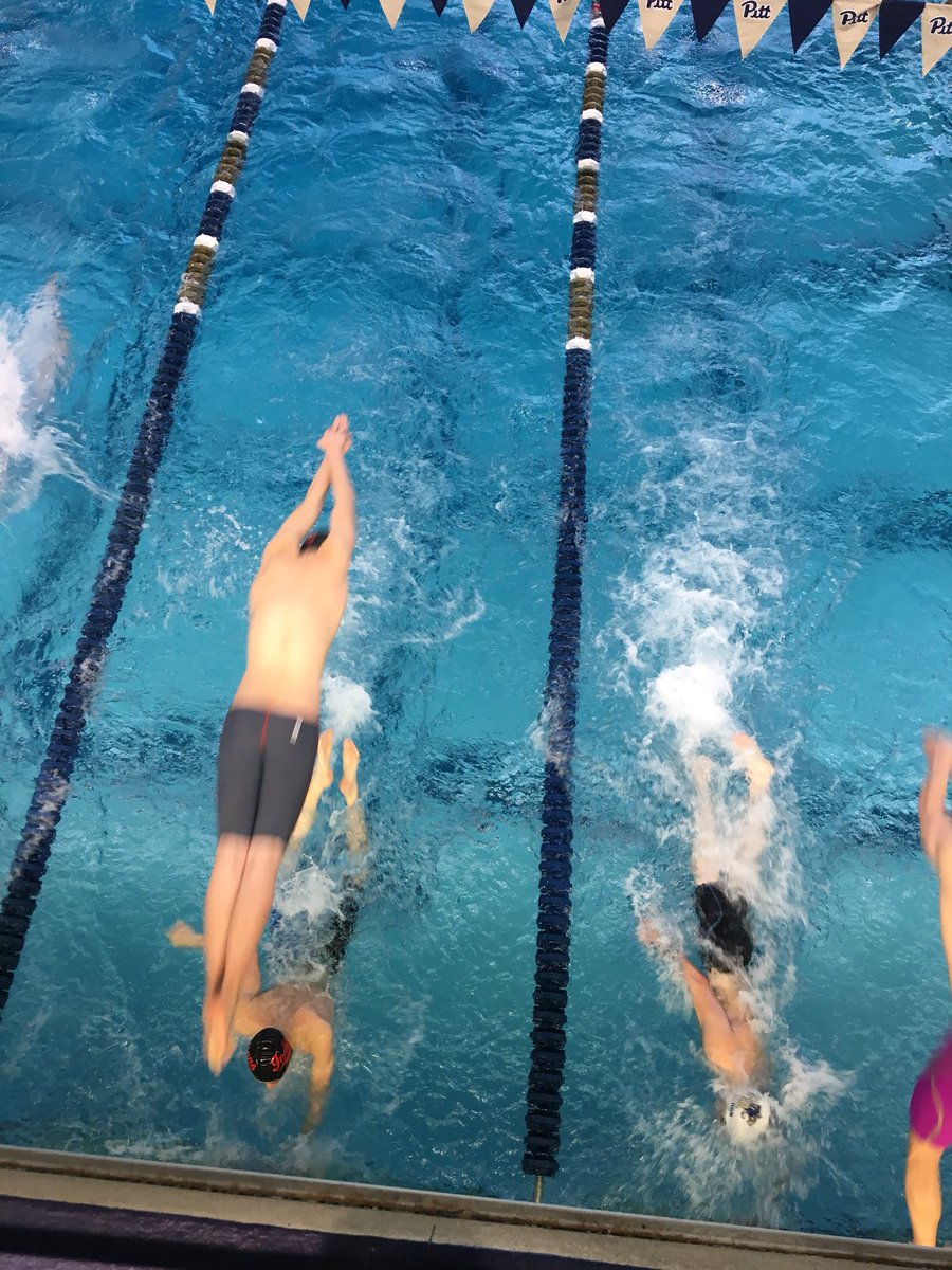 Neilbert (@neil_wible) | Twitter