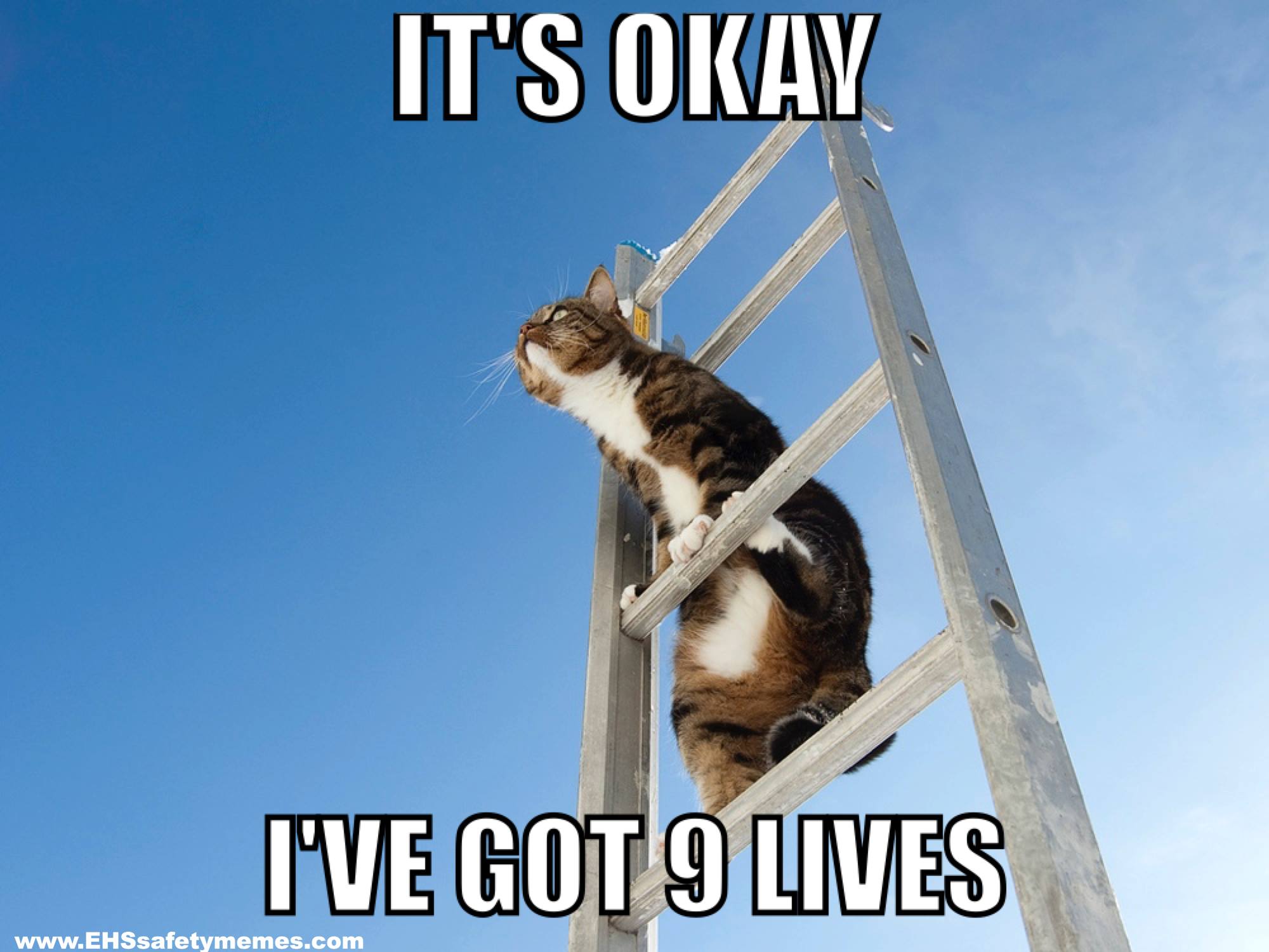 Fall Protection Memes Memebase Fall Page 2 All Your Memes In Our