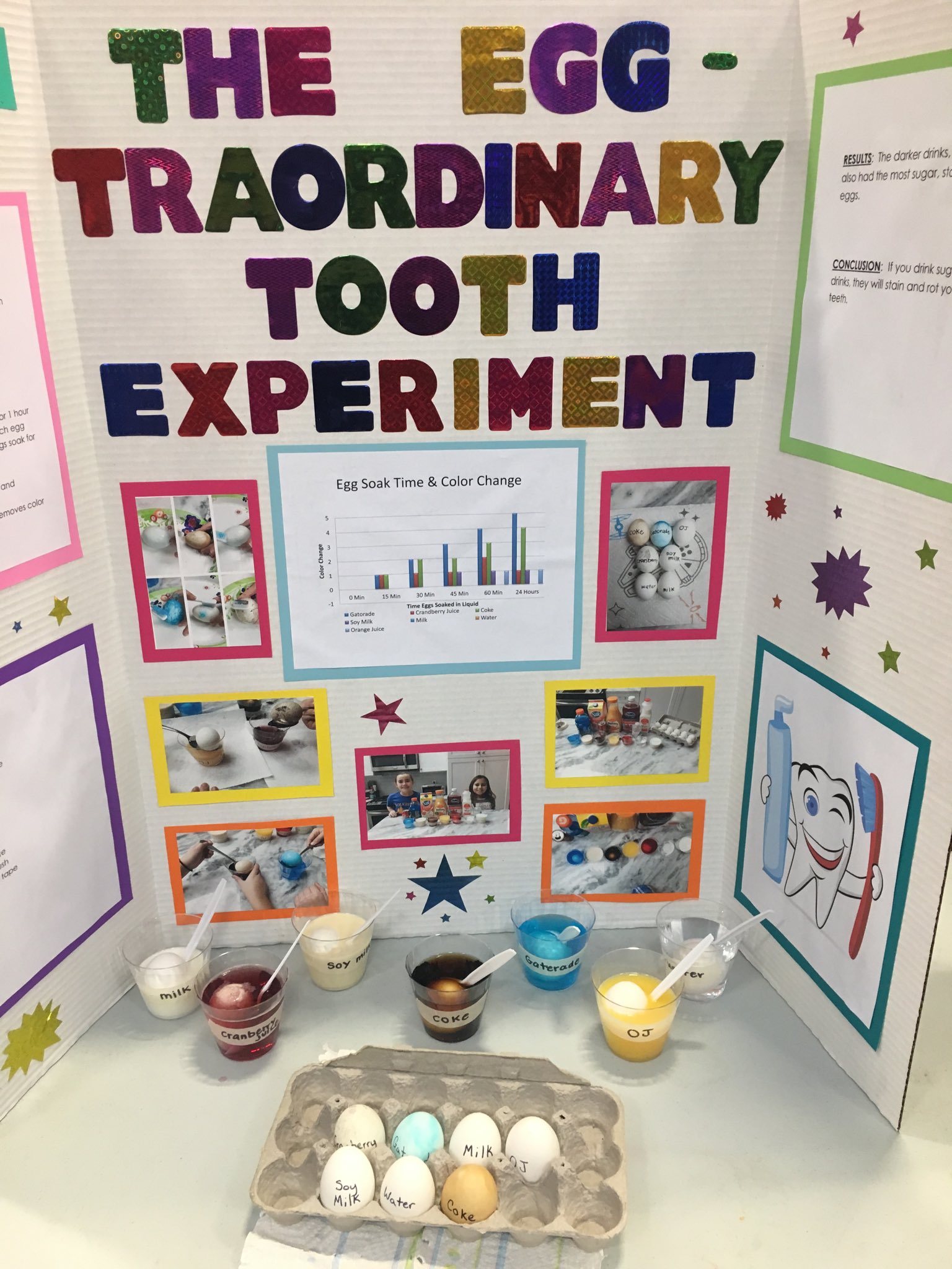 Stains Egg Science Fair Charts Stained Glass Fall Leaf Art Teach
