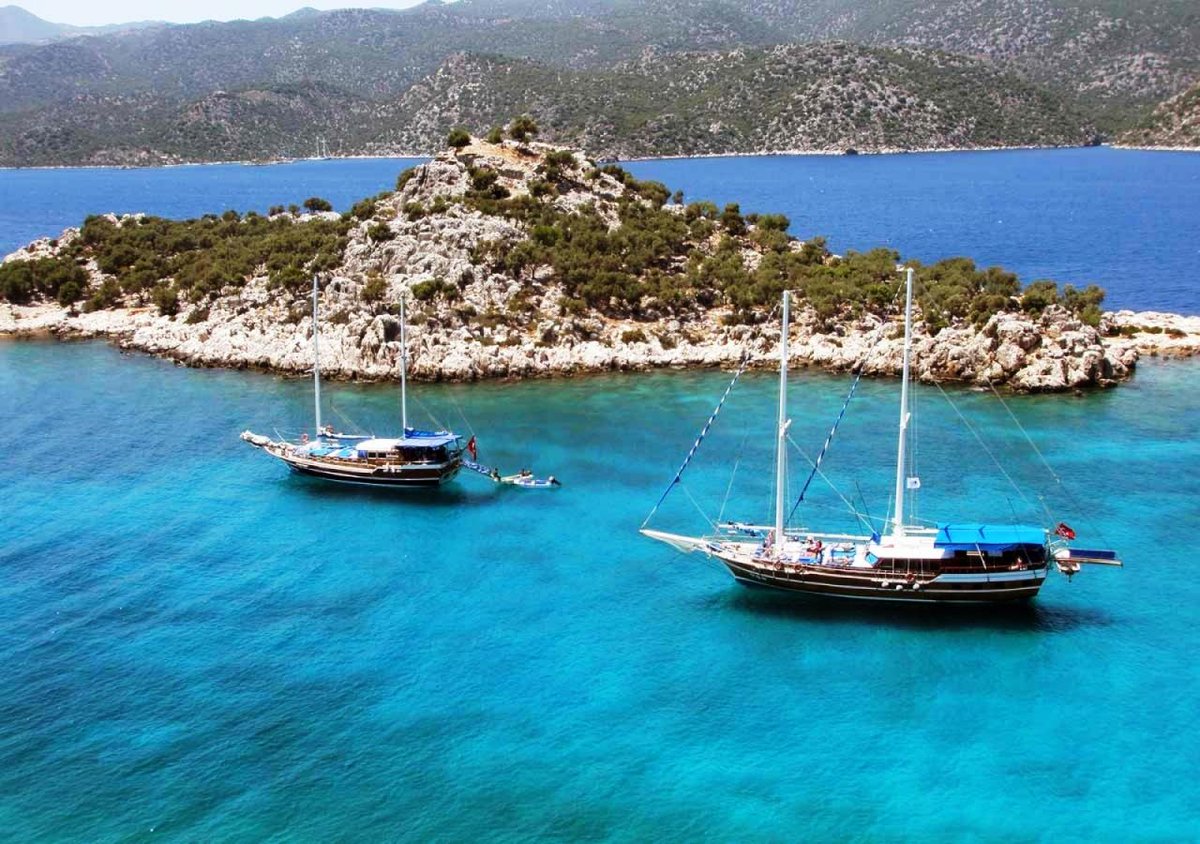 Beles Beles Tr Twitter