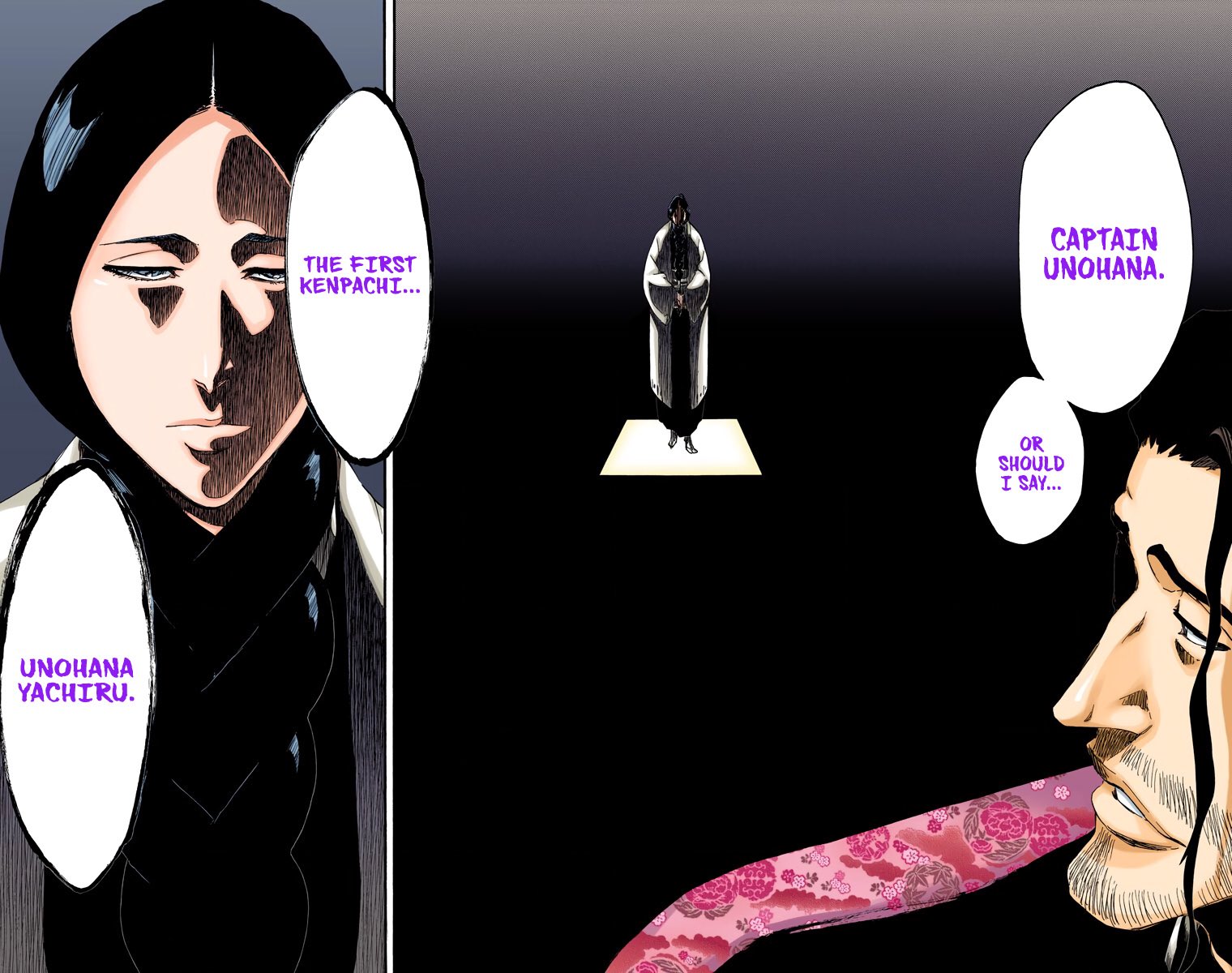 Bleach Captain Unohana Kenpachi