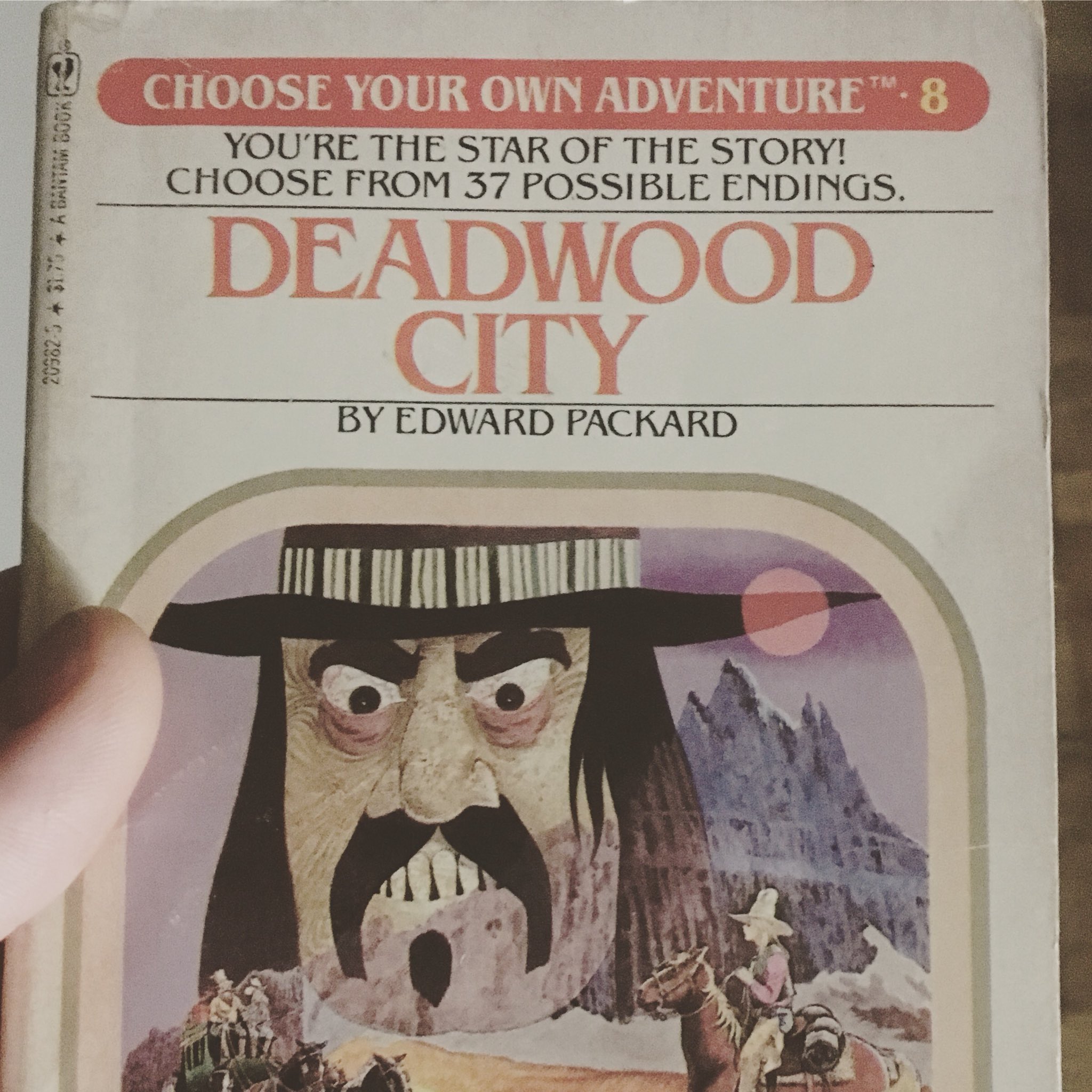 Deadwood City Book