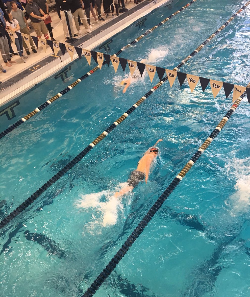 Neilbert (@neil_wible) | Twitter