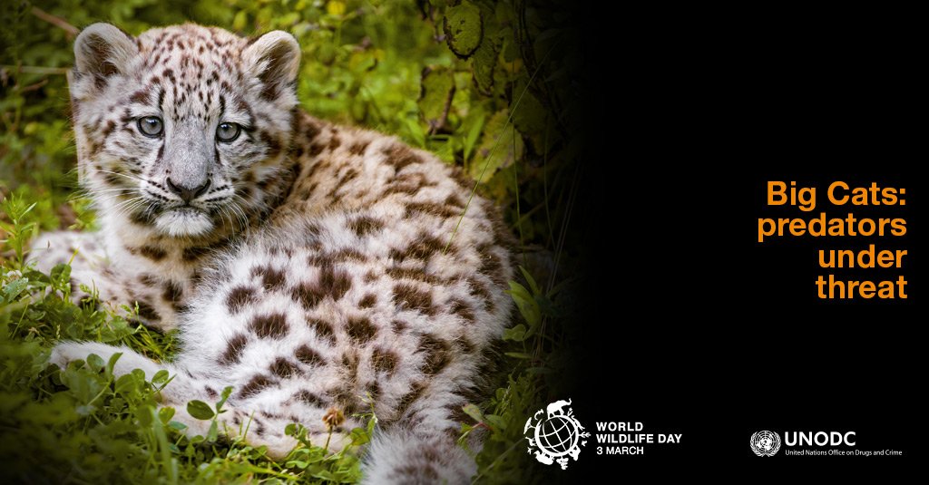 Ekemini Essien (@kemphyl) | Twitter