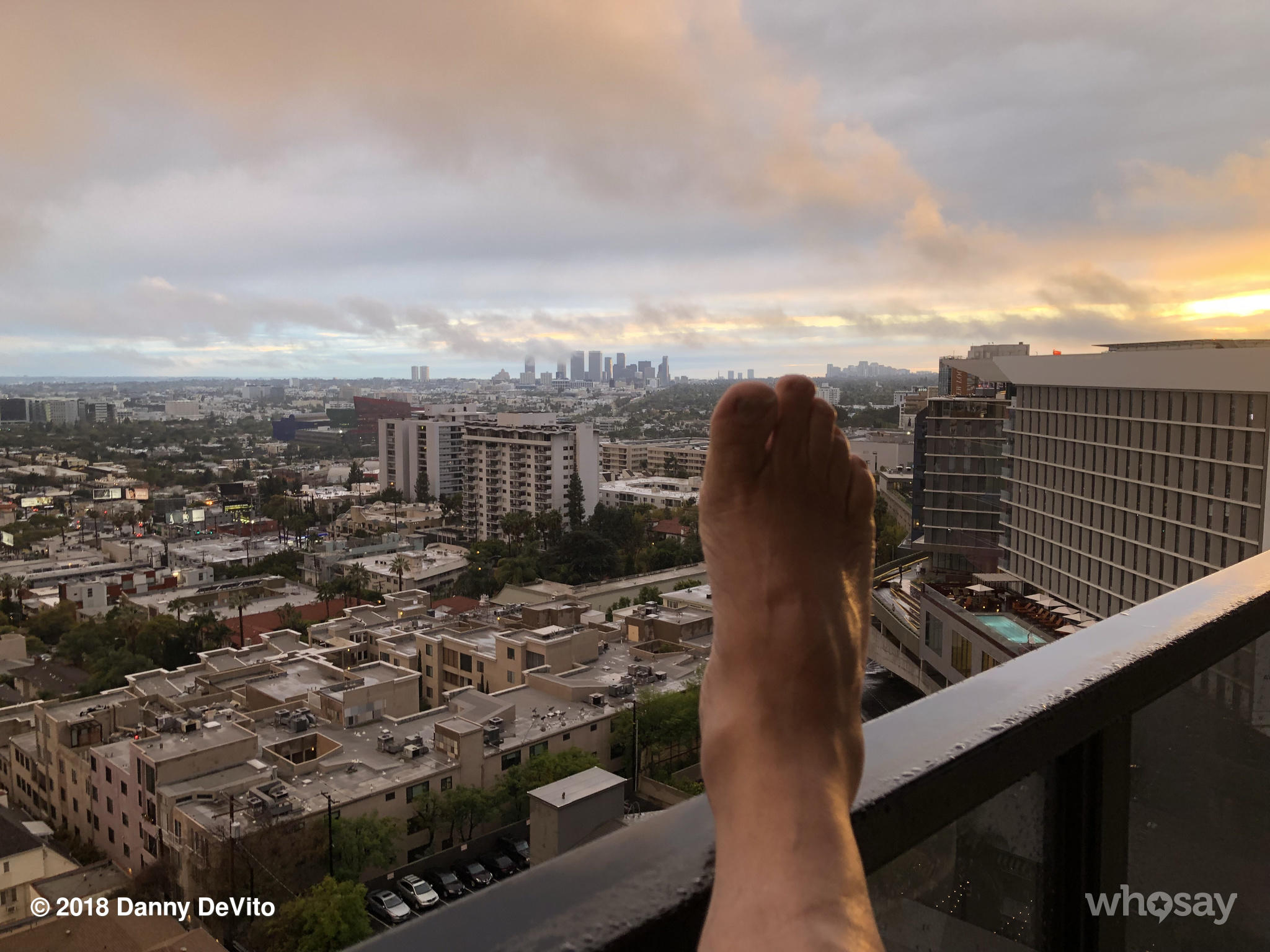 Danny Devito Feet