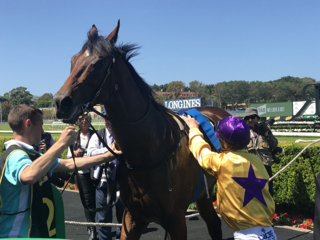 Racing NSW on Twitter: Racing NSW on Twitter: