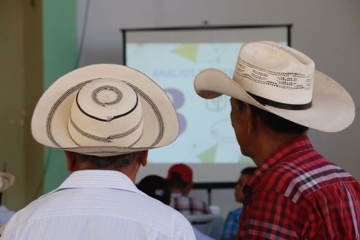 felix sabin (@felix_sabin) | Twitter