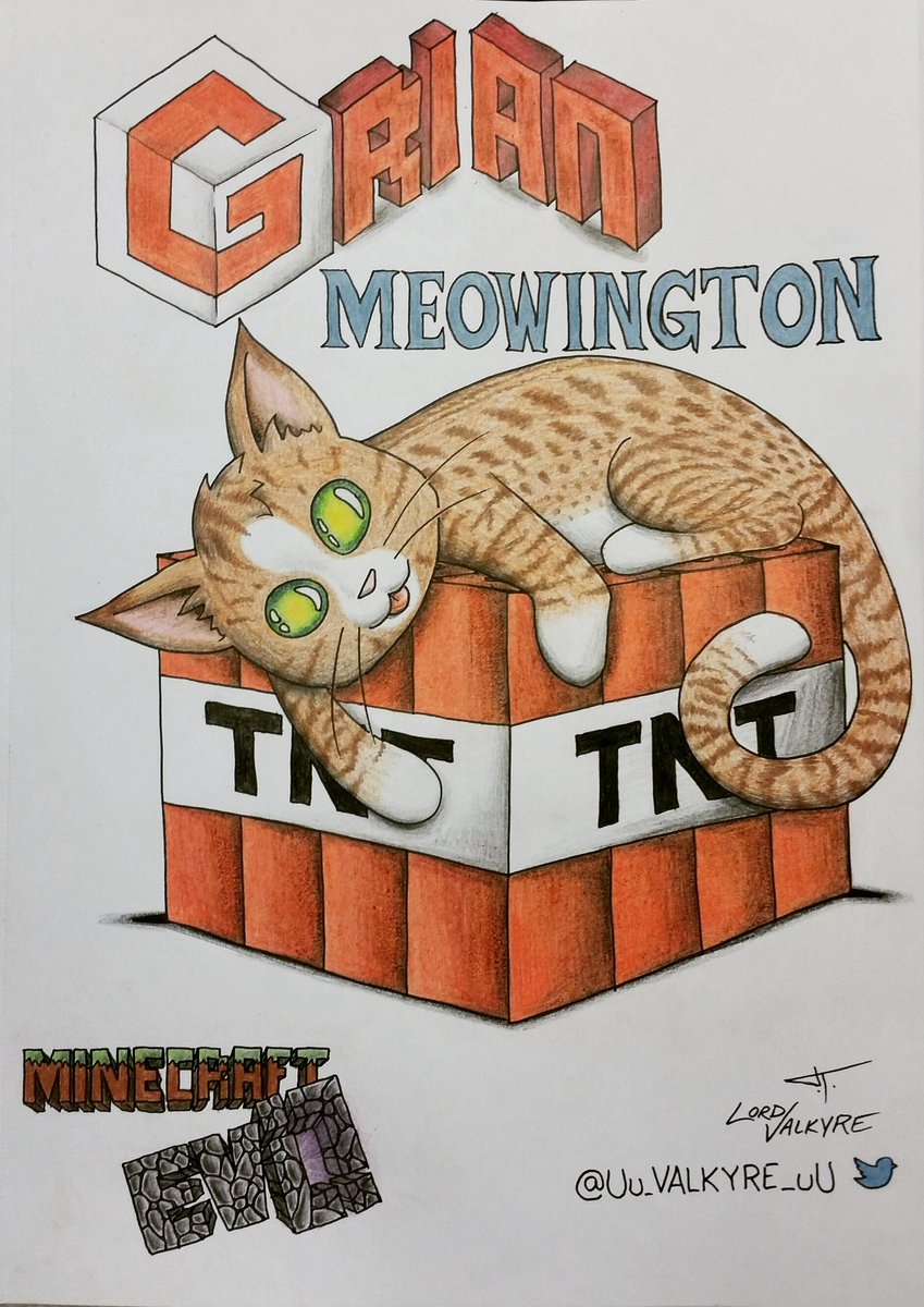 Minecraft Ocelot Drawing