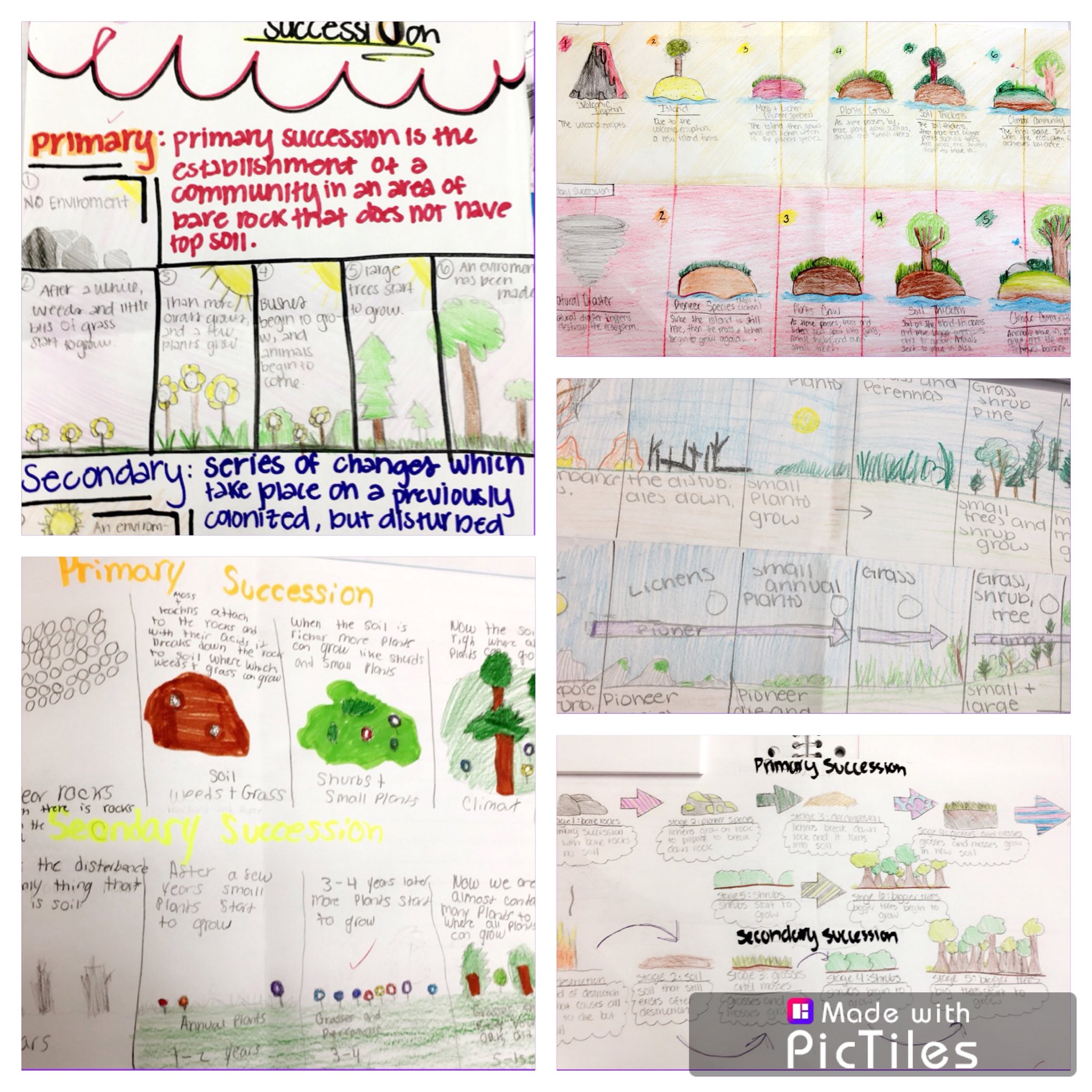Ecological Succession Graph