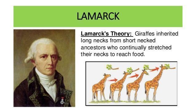 Jean Baptiste Lamarck Theory