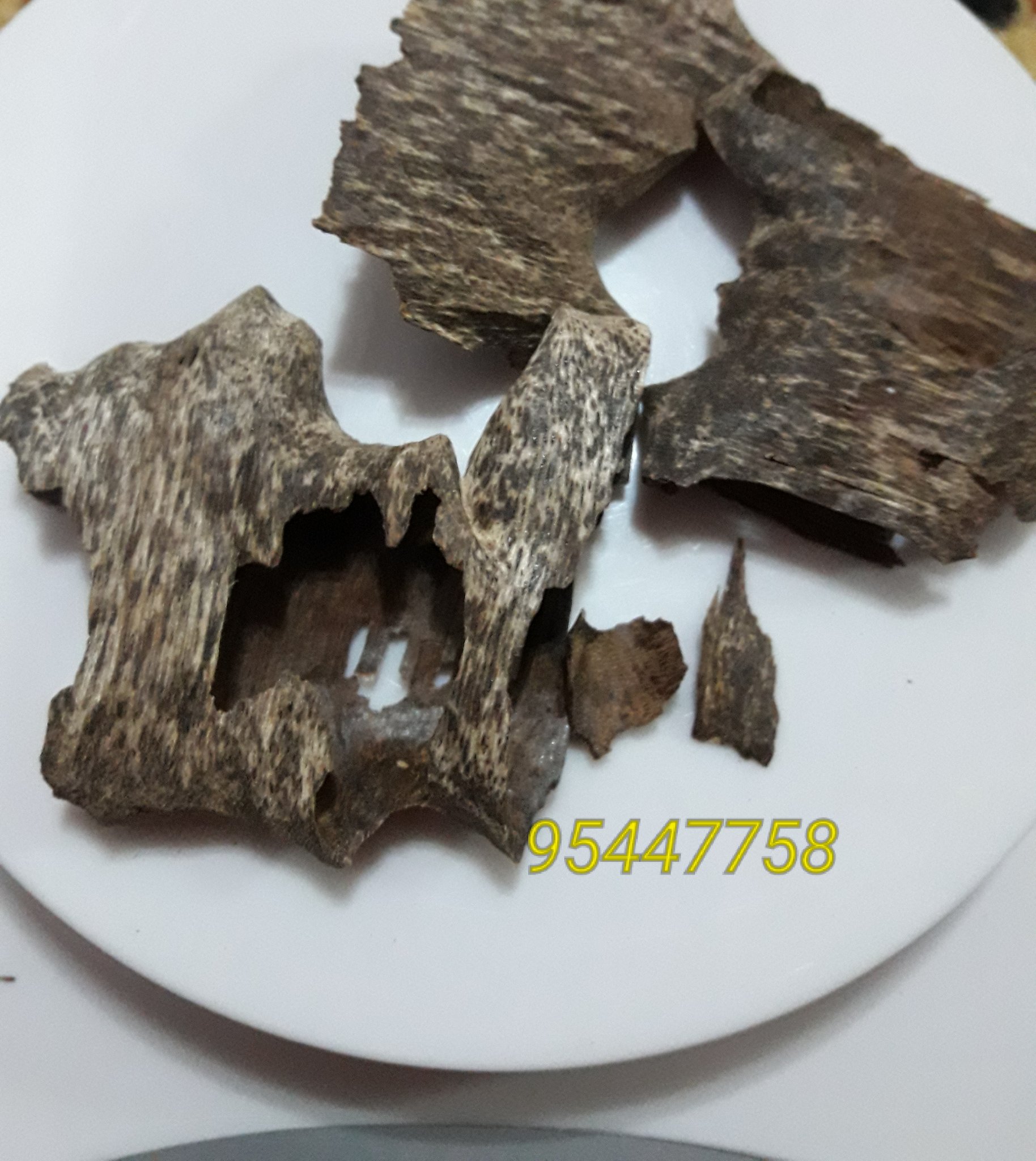 مجالس الطيب on Twitter: "#ماسة_عمان أعواد حطب مجالس الطيب للعود والعطور متوفر ٤ أنواع عود كمبودي ...