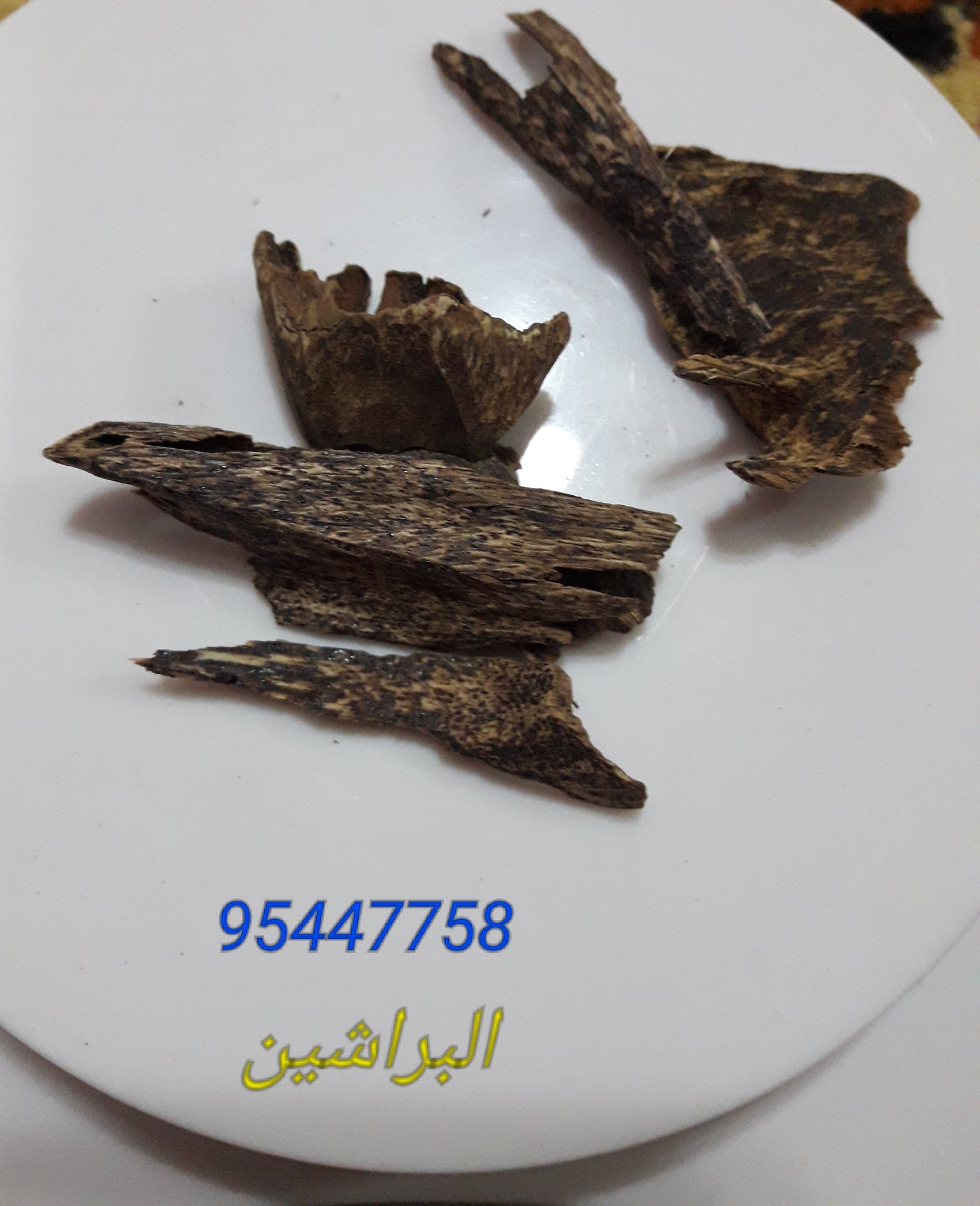 مجالس الطيب on Twitter: "#ماسة_عمان أعواد حطب مجالس الطيب للعود والعطور متوفر ٤ أنواع عود كمبودي ...