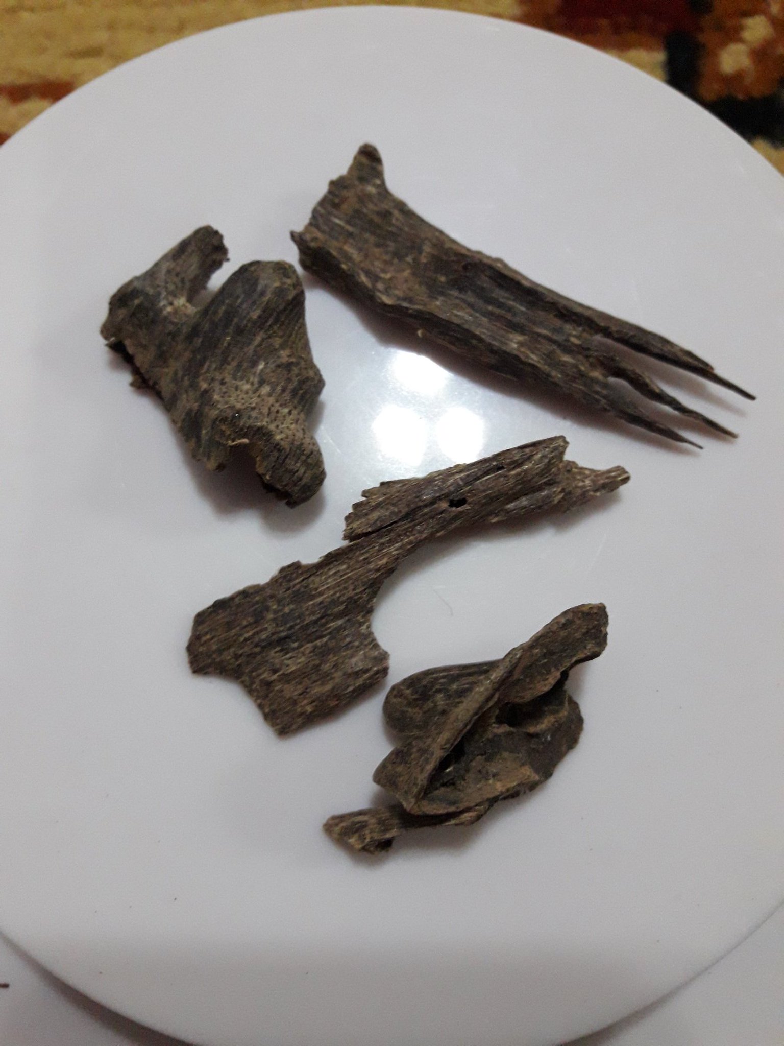 مجالس الطيب on Twitter: "#ماسة_عمان أعواد حطب مجالس الطيب للعود والعطور متوفر ٤ أنواع عود كمبودي ...