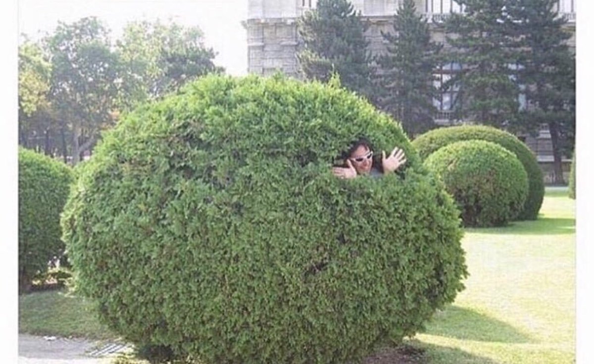Woman Hiding In The Bushes