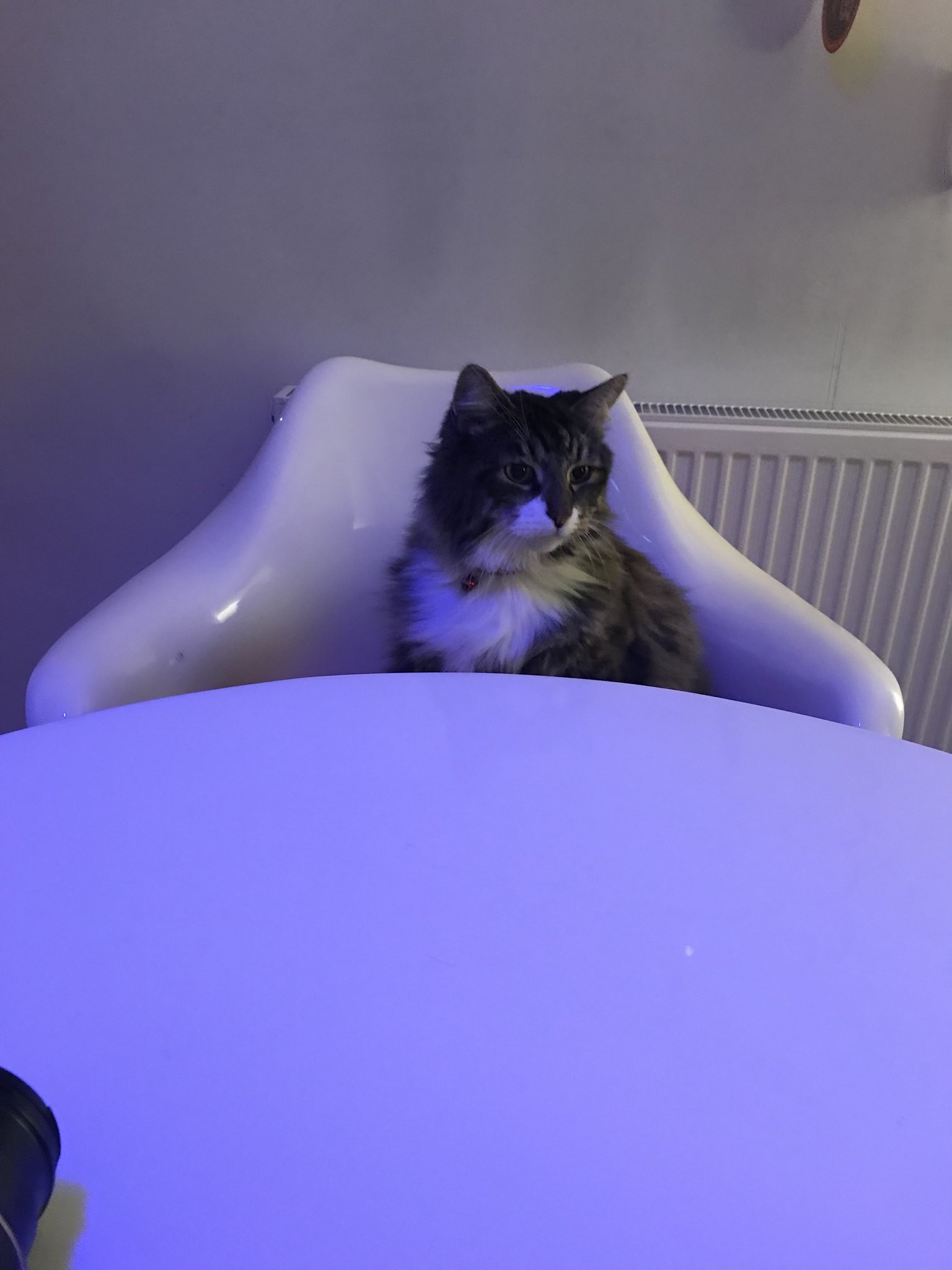 Jett (@jett_jagger) / Twitter