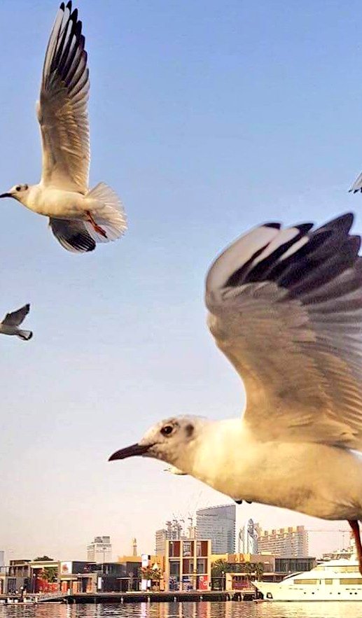 Nipuna Supem (@NipunaSupem) | Twitter